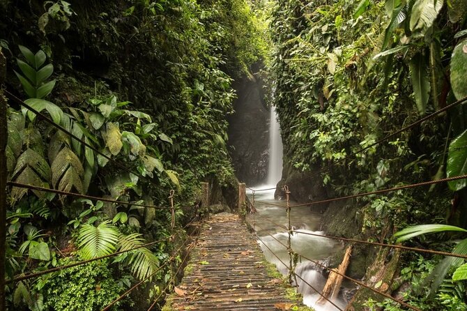 Mystical Mindo Marvels: a Daylong Dive Into Natures Dreamland! - Convenient Round-Trip Transport From Quito