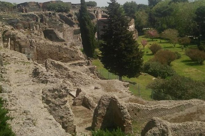 Naples Shore Excursion: Pompeii Half Day Trip From Naples - Participant Requirements and Accessibility