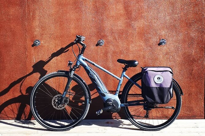 Nazaré E-Bike Rental 4h - Accessibility and Suitability