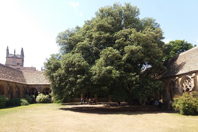 New College Oxford Harry Potter Insights PRIVATE TOUR Daily - Reviews and Feedback