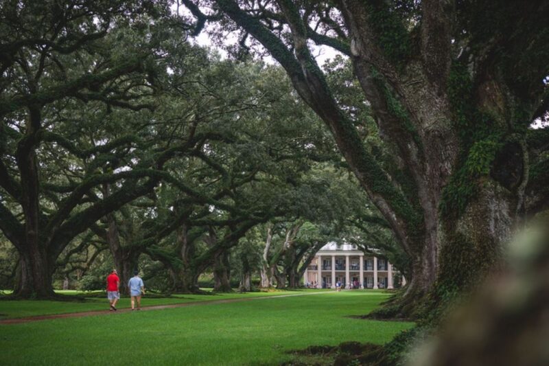 New Orleans Garden District Tour - Who Is This Tour Best For?