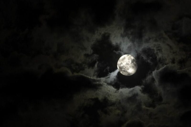 New Orleans Haunted Excursion Walking Tour - The Sum Up: Is It Worth It?