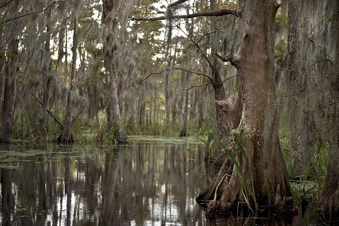 New Orleans Large Airboat Swamp Tour - Traveler Feedback