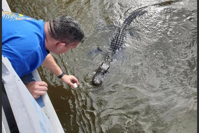 New Orleans Swamp Tour Boat Adventure - Who Should Consider This Tour?