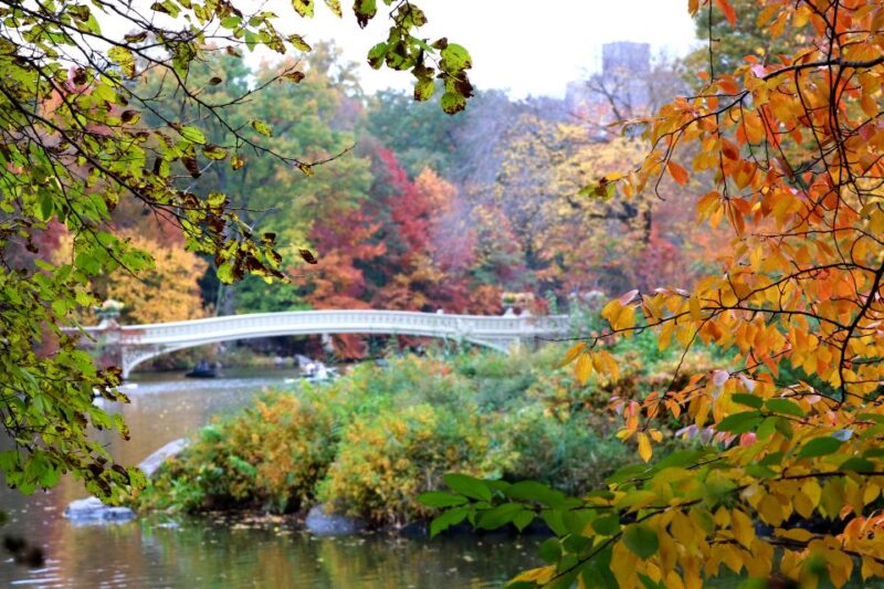 New York City: Pedicab Tour Through Central Park - Who Would Love This Experience?