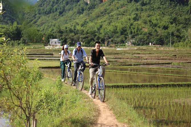 NINH BINH MEMORABLE DAY: Hoa Lu, Mua Cave, boat trip Tam Coc, Trang An optional - FAQ