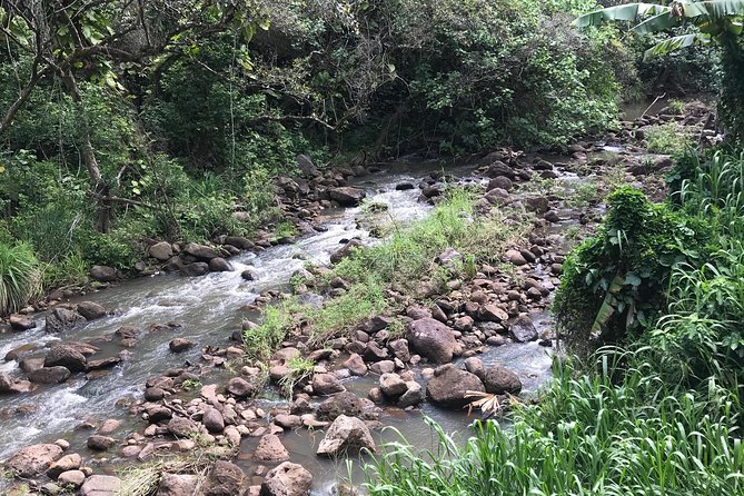 North Shore / Waimea, Falls Day & Swim With Turtles - Local Cuisine and Dining Options