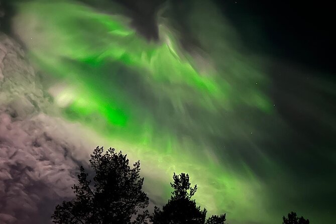 Northern Light Hunt With Minibus Review - Guest Reviews and Feedback