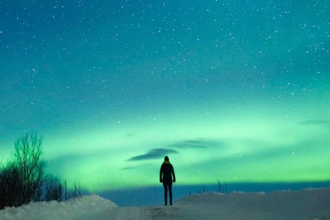 Northern Lights Bus Tour From Reykjavik - Customer Feedback and Experiences