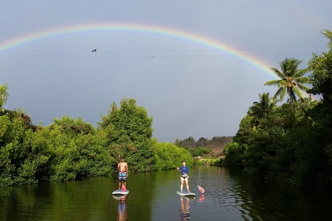 Northshore ocean adventure and circle islandJeep Tour- Guaranteed to see turtles - Who Will Love This Tour?