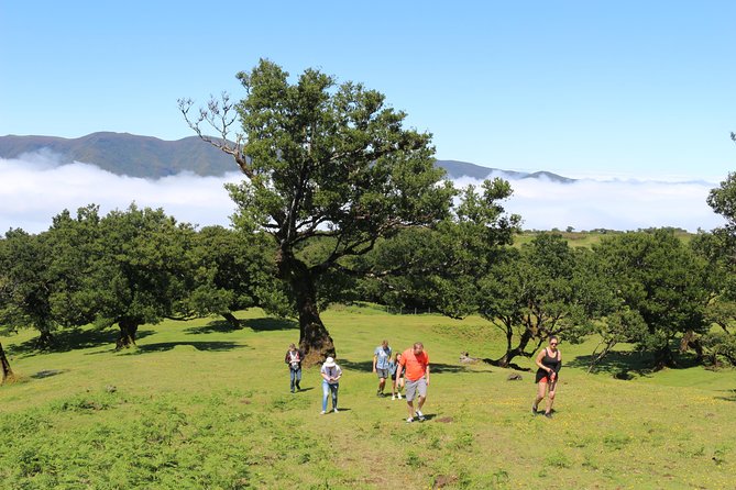 Northwest Terraces and Volcanic Pools 4x4 Full Day Tour - FAQ