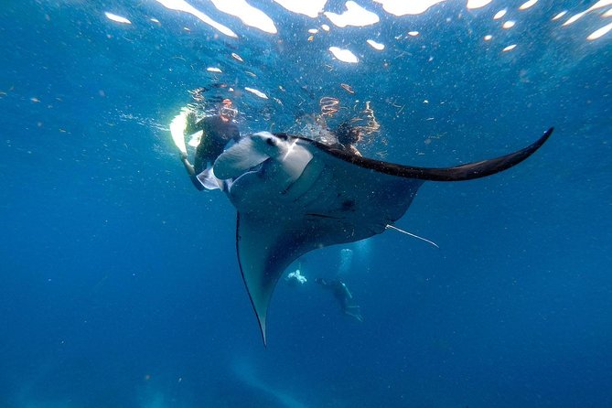 Nusa Penida Snorkeling Adventure (Private & All-Inclusive) - Who Should Consider This Tour?