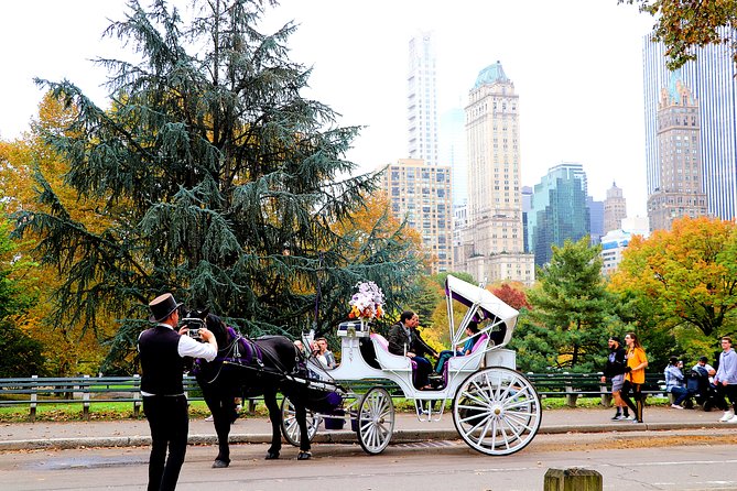 NYC Horse Carriage Ride in Central Park (50 Min. Up to 4 Adults) - Accessibility Features