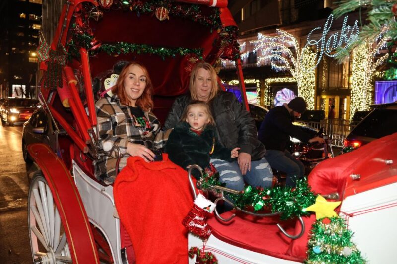NYC: Magical Christmas Lights Carriage Ride (Up to 4 Adults) - The Experience From Our Reading of Reviews