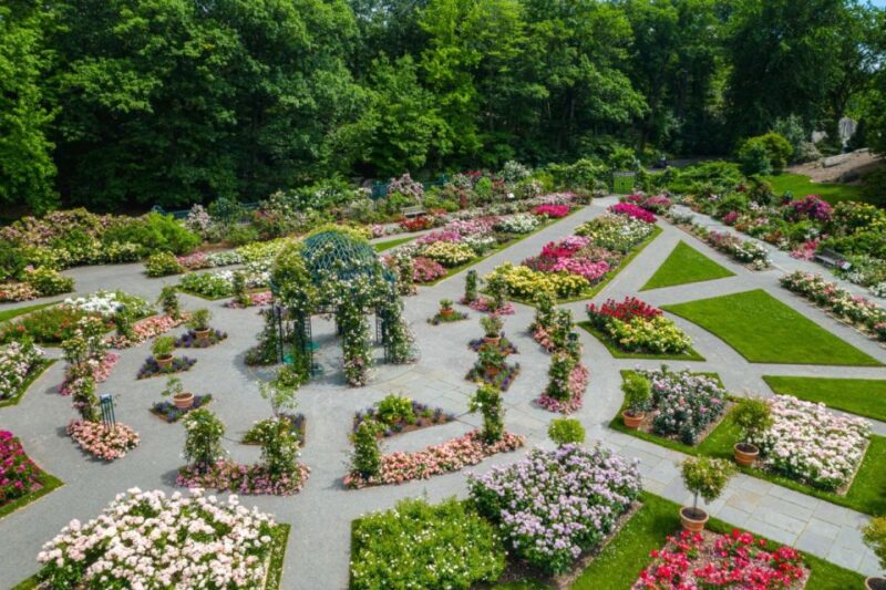 NYC: New York Botanical Garden Pass with Orchid Show Option - Authentic Experiences and Practical Tips