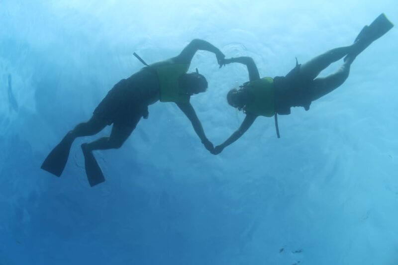 Oahu: Dolphin Watching & Turtle Snorkeling with Waterslide - In-Depth Breakdown of the Itinerary