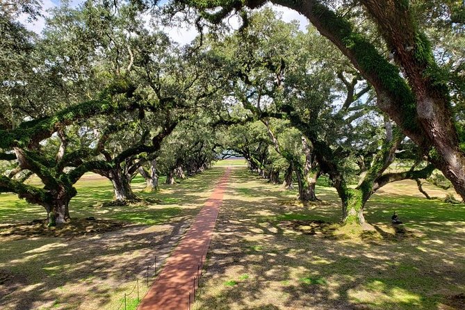 Oak Alley and Laura Plantation Tour With Transportation From New Orleans - Discovering Laura Plantation
