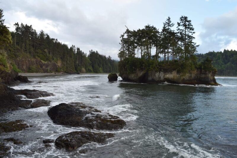 Olympic National Park: Half-Day Tour - The Practical Side: What to Expect