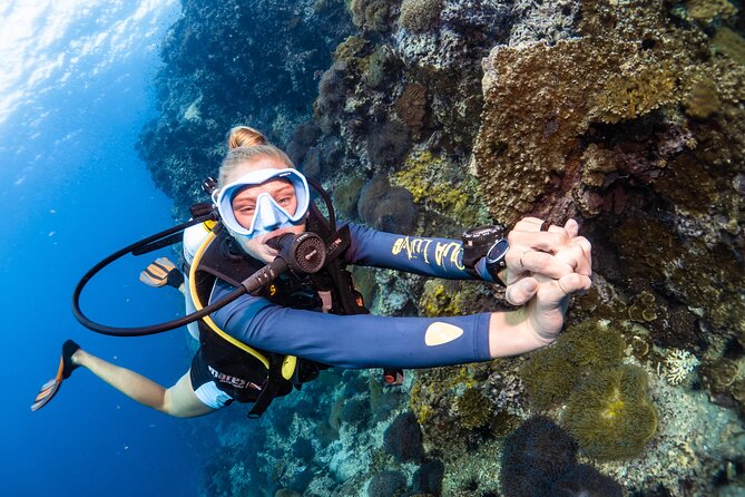 Open Water Course - Become certified diver in 3 days - FAQ
