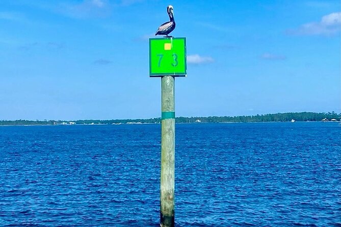 Orange Beach Dolphin Eco Boat Tour - FAQ