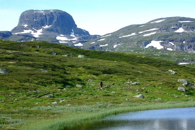 Oslo To Sognefjord Private Full Day Roundtrip Including Flam Railway - Praise for Knowledgeable and Friendly Guides