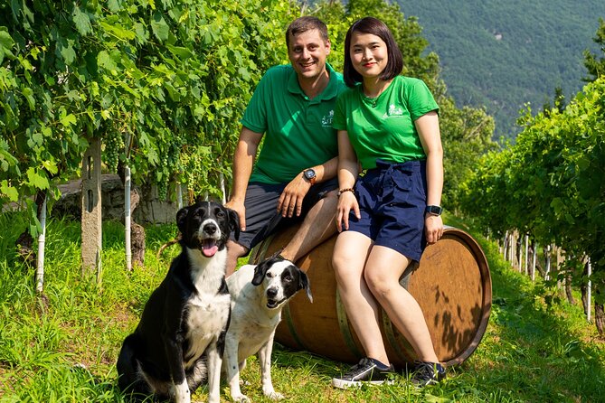 Ossola Valley Winery Tour With Tastings - Traveler Reviews and Ratings