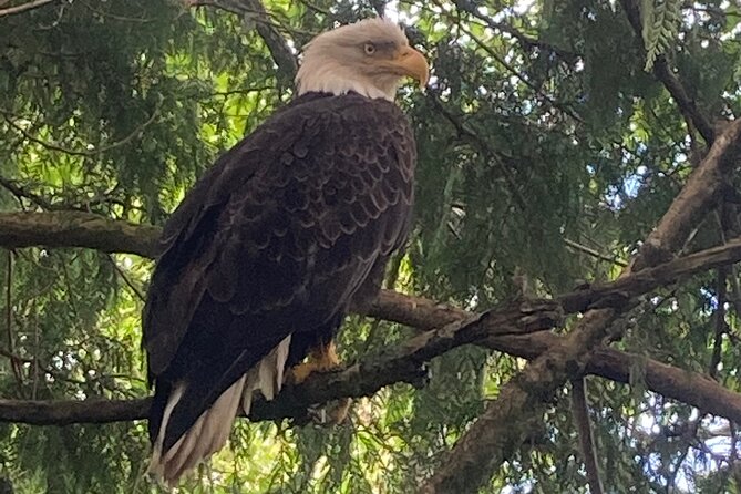 Over the TOP Tours" City Highlights, Wildlife and More! - Included Amenities