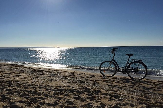 Palma De Mallorca 3-Hour Highlights and Tapas Tasting Bike Tour - Inclusions and Amenities