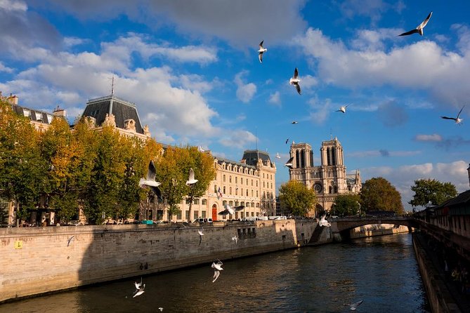 Paris Highlights Private Tour With Arc De Triomphe Skip the Line Ticket Access - Pickup and Guide Availability