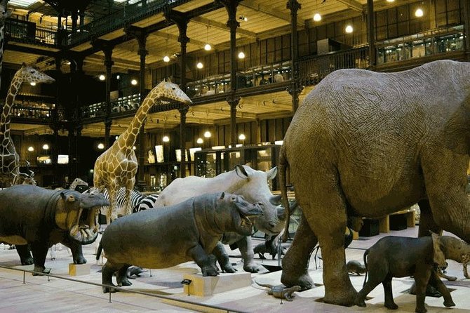 Paris With Kids Custom and Private Half-Day Tour - Traveler Reviews and Feedback