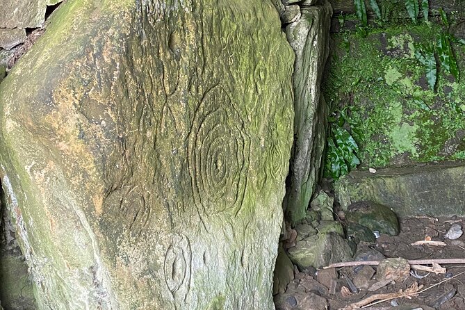 Personal Tour: Hill of Tara Trim Castle Boyne Valley Celtic Sites - Schedule