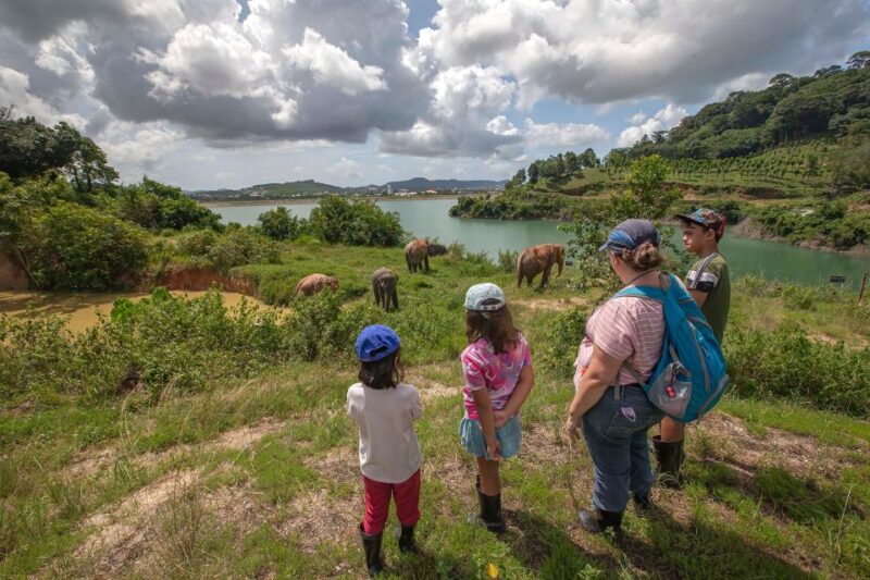 Phuket: Elephant Sanctuary Guided Tour with Hotel Transfers - The Value of the Experience