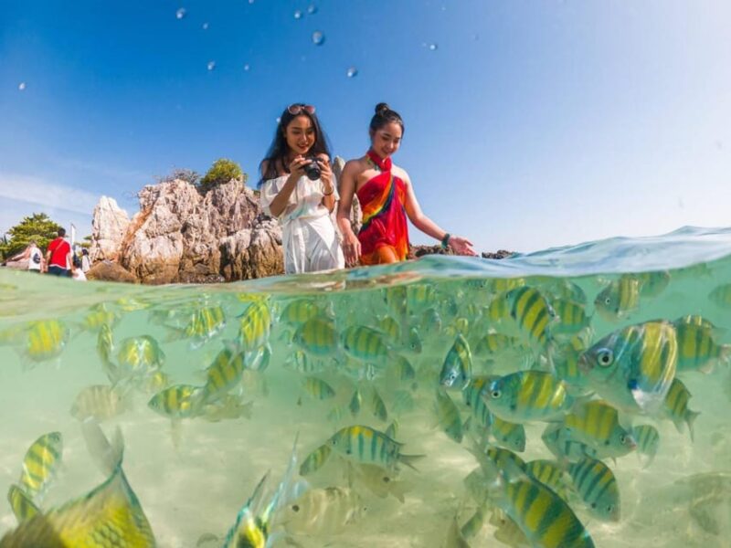 Phuket: Khai Islands Premium Speedboat Half Day Adventure - The Balance of Crowds and Comfort