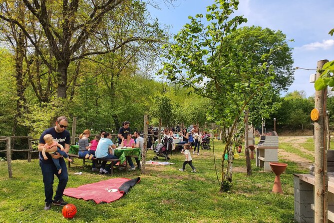 Picnic Area With Barbecue Equipment in Capranica (VT) - Operating Hours