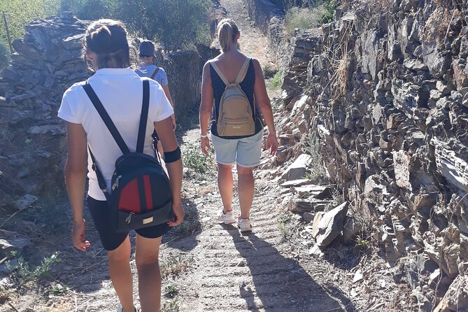 Pinhão Hiking Tour - Why Choose This Hiking Experience
