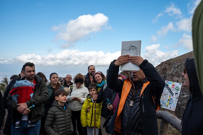 Pompeii and Vesuvius Small Group Tour From Sorrento With Pizza - Tour Experience and Feedback