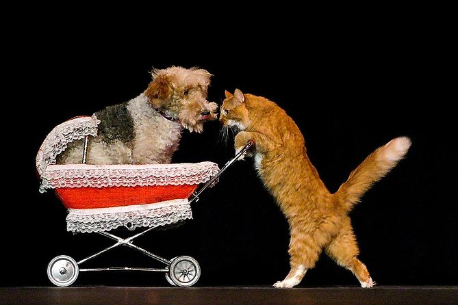Popovich Comedy Pet Theater at Planet Hollywood Resort and Casino - Final Thoughts