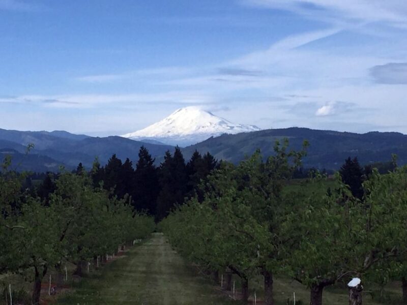 Portland: Mount Hood Wine and Waterfalls Full-Day Tour - Who Will Love This Tour?