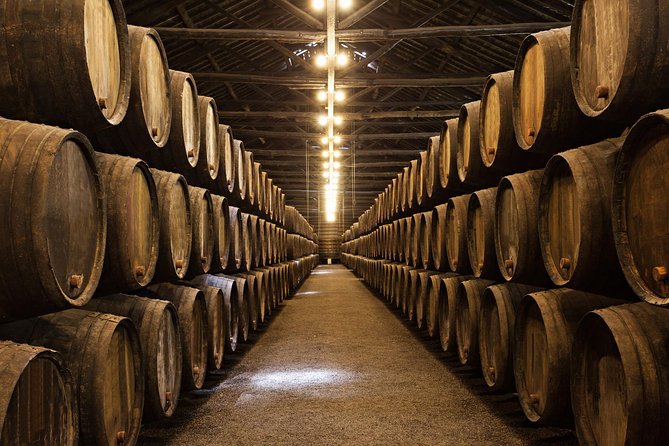 Porto Private Tour From Lisbon With Douro Cruise and Wine Tasting - Tour Highlights and Activities
