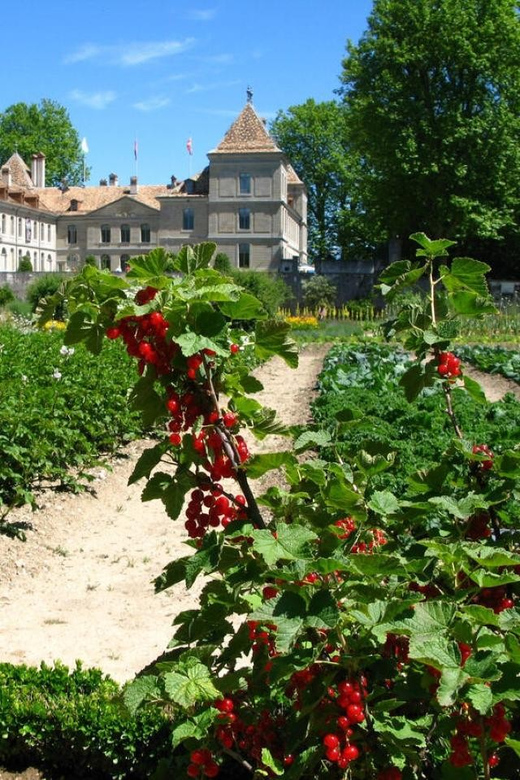 Prangins, Lake Geneva: Château De Prangins Entry Ticket - Exploring the Historic Building
