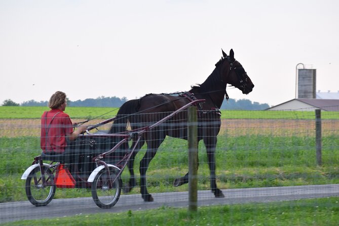 Premium Amish Country Tour including Amish Farm and House - Who Should Consider This Tour?