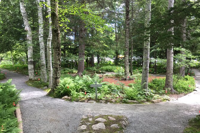Premium Narrated Bus Tour of Bar Harbor and Acadia National Park (3.5 Hours) - Who Should Consider This Tour?