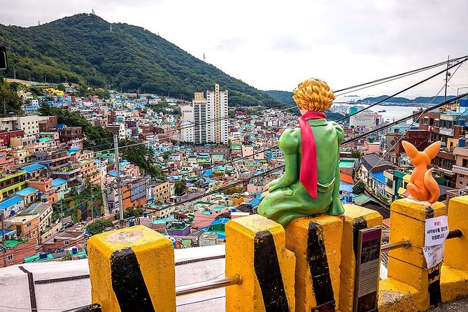 Private Busan Tour with hidden gem of Busan by Local Guide - Value and Practicalities
