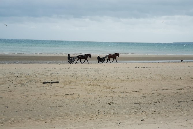 Private Day Tour Including Normandy Landing Beaches & Battlefields From Bayeux - Traveler Reviews and Recommendations