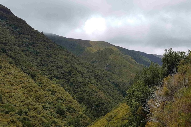 Private Guided Walk Levada 25 Fontes - Pricing Details and Payment Options