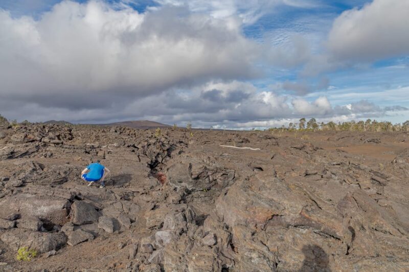Private Hilo Cruise Special - Waterfalls and Volcanoes - Who Should Consider This Tour?