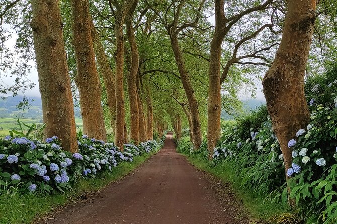 Private Jeep Tour in São Miguel Island - Tips for an Enjoyable Experience