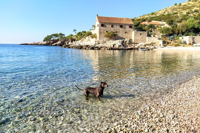 Private Speed Boat Tour of Hvar South Shore & Pakleni Islands - Accessibility and Participation