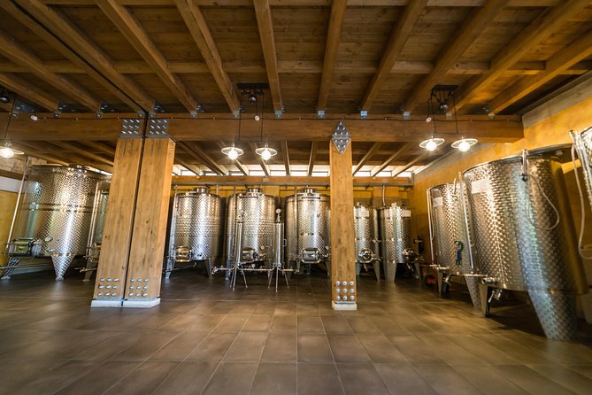 Private tour of Pompeii Ruins, Organic Wine tasting and Lunch - Who Should Consider This Tour?