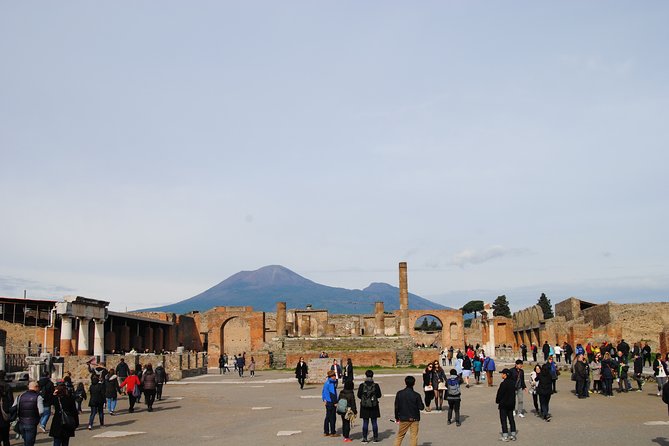 Private Tour Pompeii Vesuvius and Winery From Sorrento - Additional Information